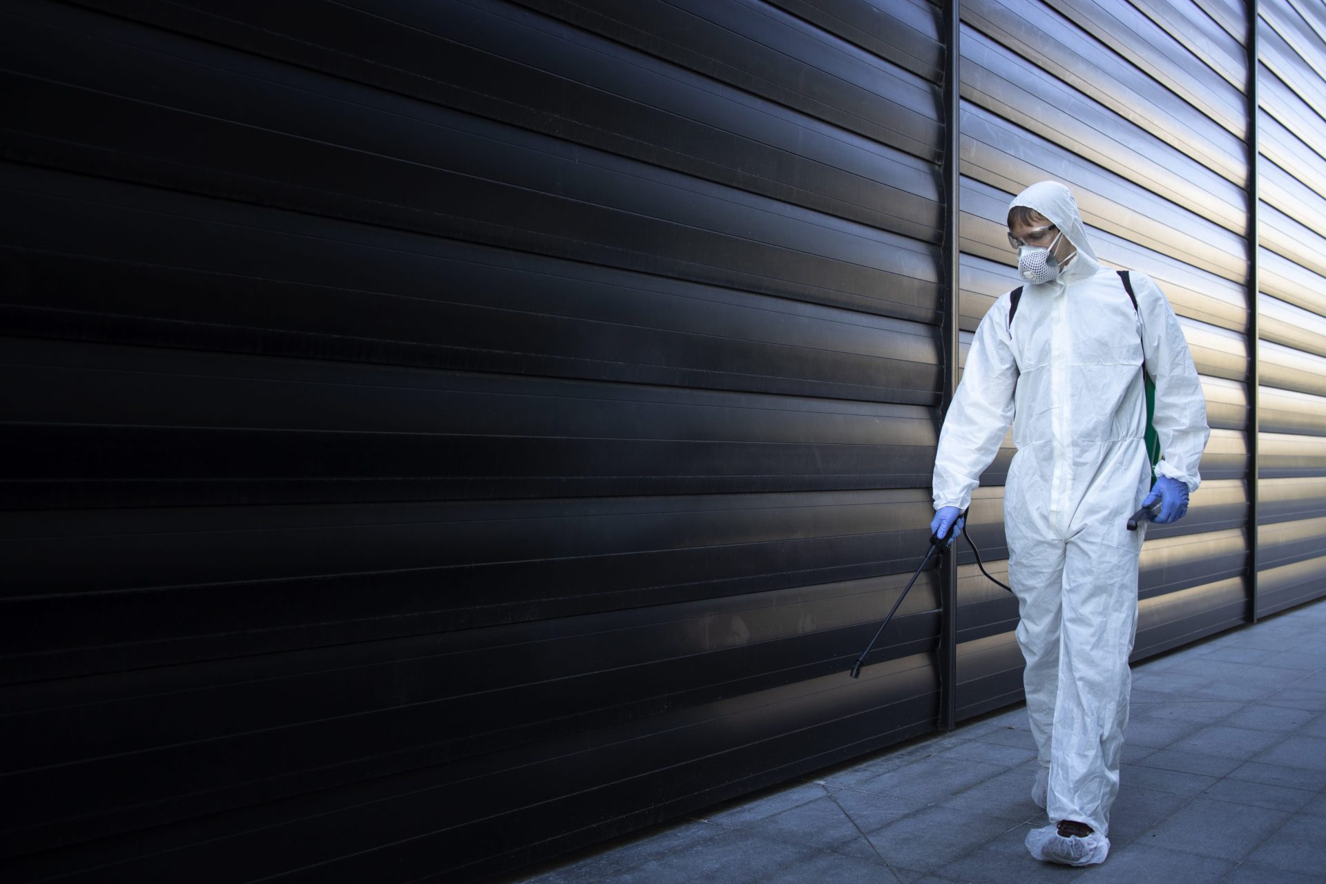 Effective 7 Proven Strategies for Rodent Control